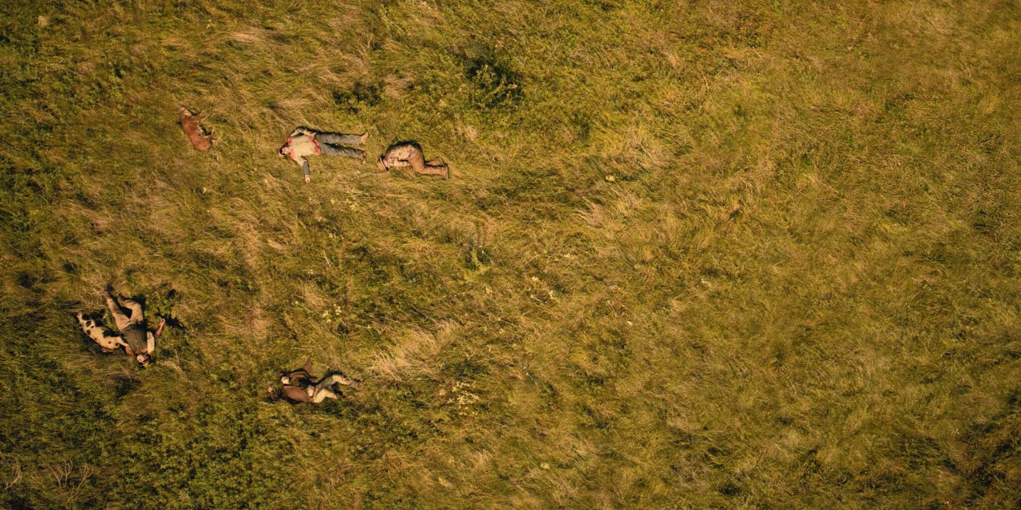 H2S Gas Leak: Dangers & Facts - Landman.tv